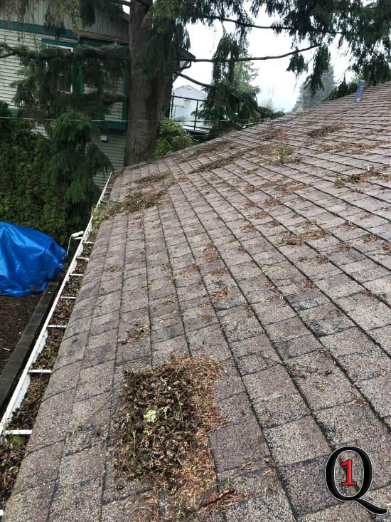 Strata Building Maintenance | Quality One Home Services